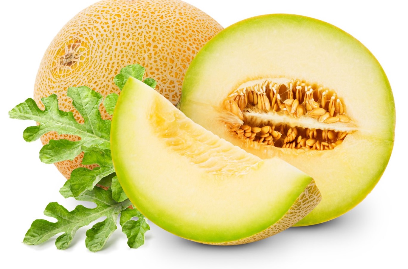 Asia Afrika Dental Official Website